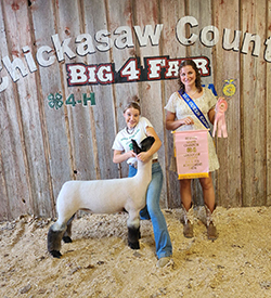 Erickson Show Stock : Winners