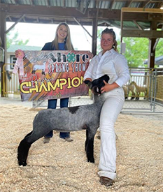 Erickson Show Stock : Winners