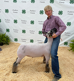 Erickson Show Stock : Winners