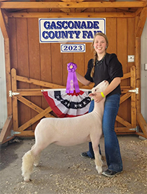 Erickson Show Stock : Winners
